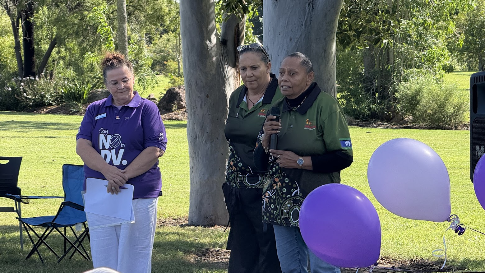 Taking Action, Together: Domestic and Family Violence Prevention Month ...